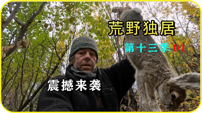 荒野独居十三季免费观看高清版截图