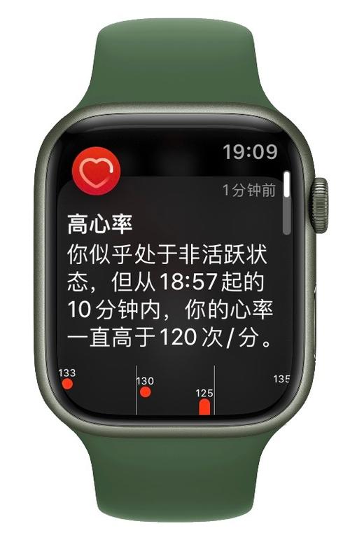苹果手表能测心率吗图标