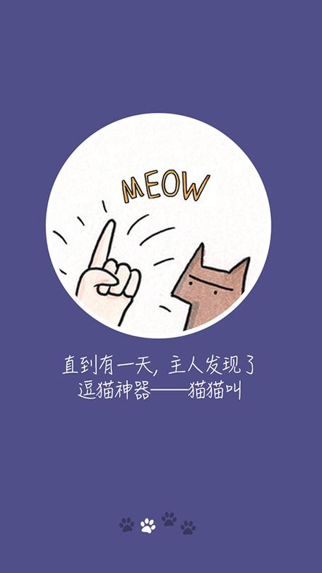 猫猫语言神器截图