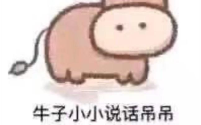 牛子小小表情包截图