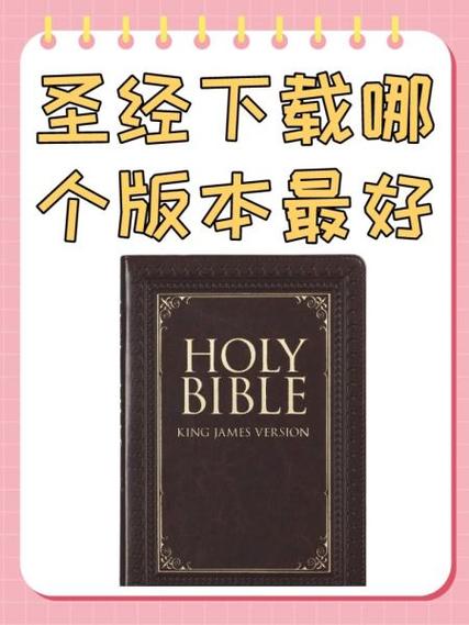 圣经书下载完整版图标