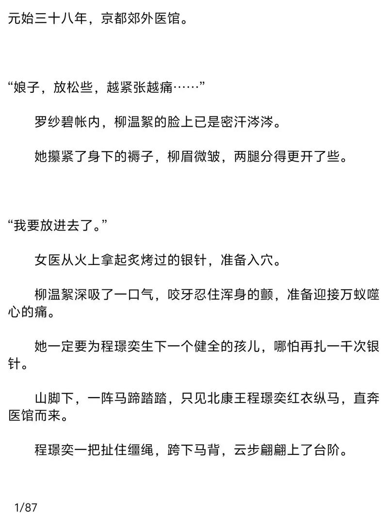 二两娘子txt图标