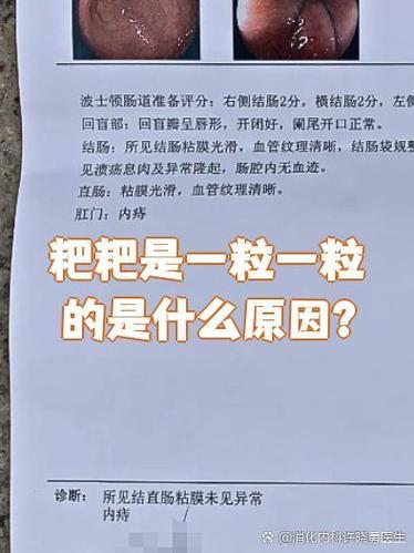 拉屎拉的一粒一粒的怎么回事