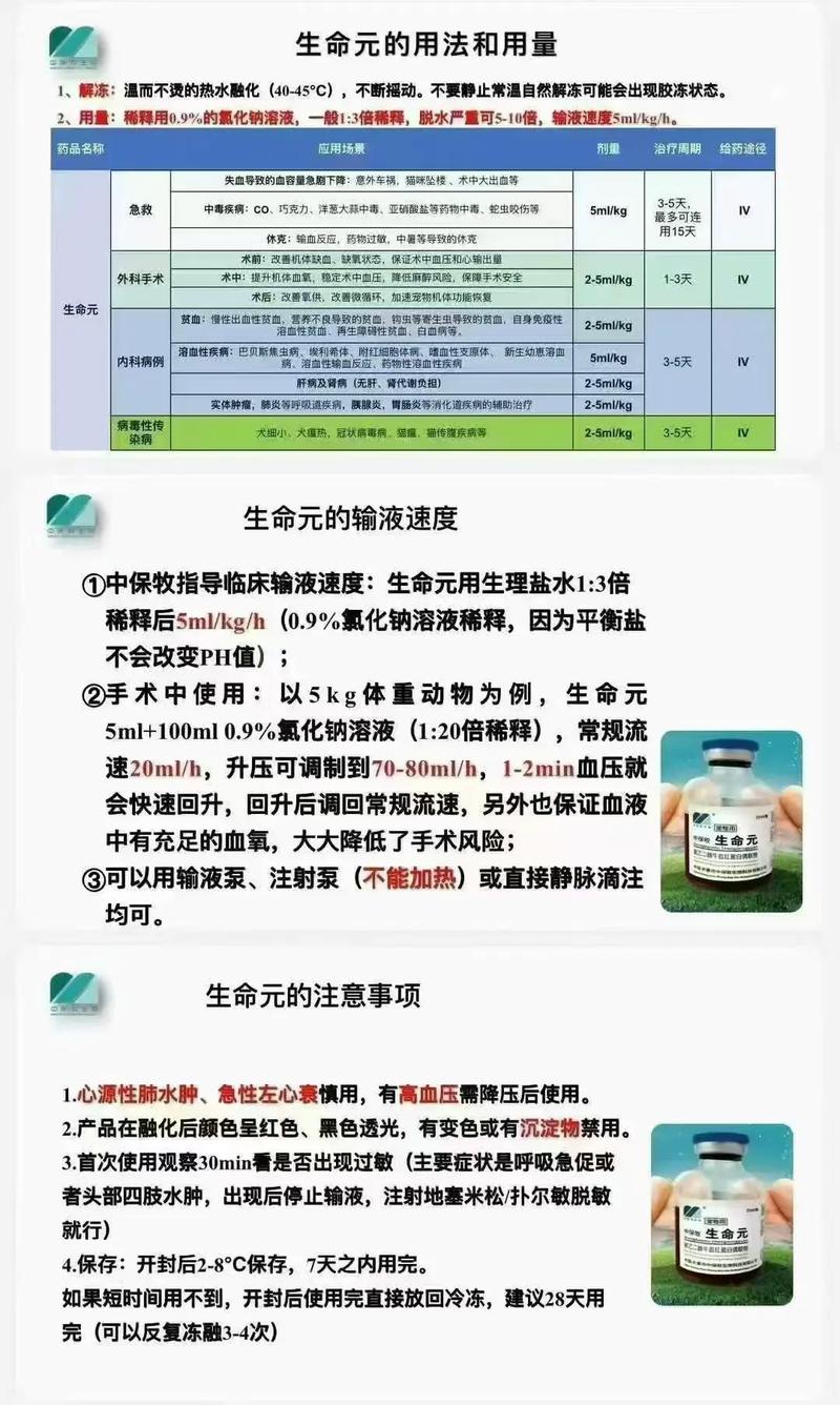 生命元多少钱图标