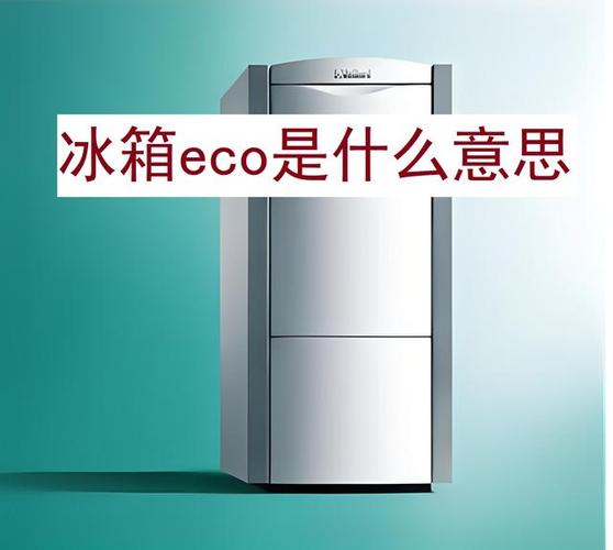 冰箱ECO有必要开吗图标
