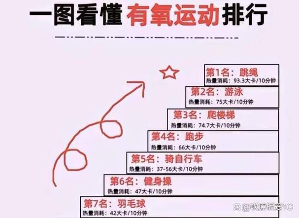 有氧耐力和无氧耐力区别图标