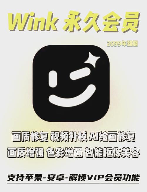 wink永久会员图标