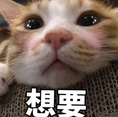 想要表情包截图