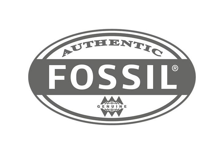fossilfuel图标