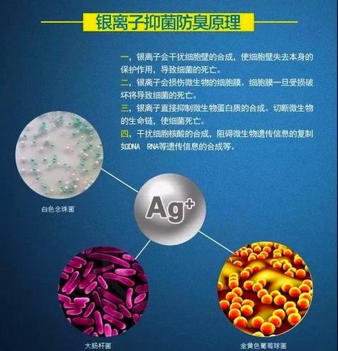 纳米a1有什么功能和作用截图