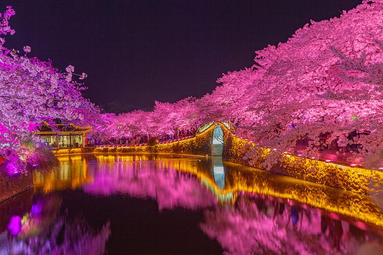 樱花校园模拟器怎么到晚上图标