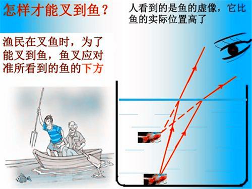 把鱼移到他们相应的位置截图