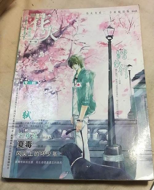 花火小说在线阅读图标