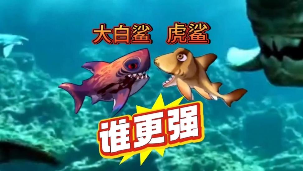 虎鲨和大白鲨谁厉害截图