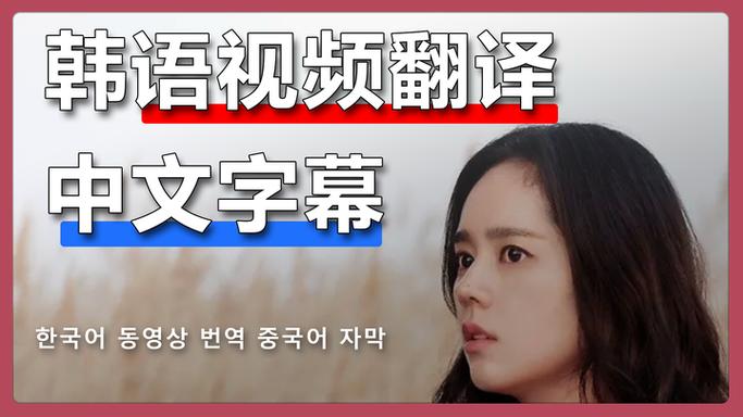 字幕翻译成中文图标