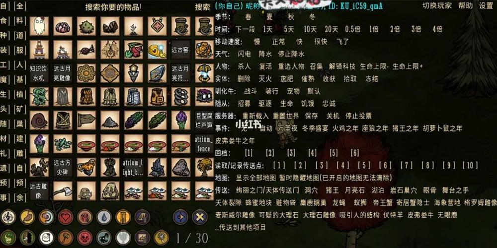 饥荒控制台怎么使用图标