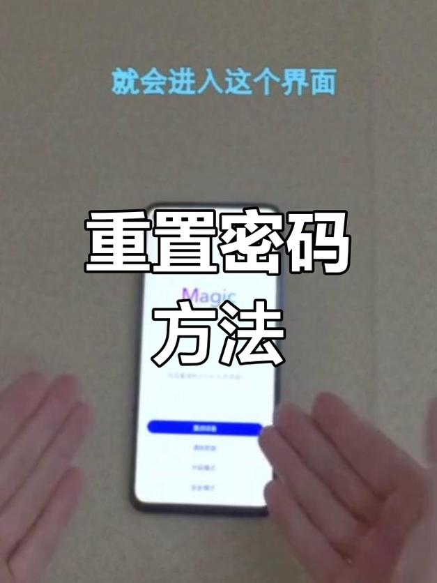ivvi忘记密码强制恢复出厂设置图标