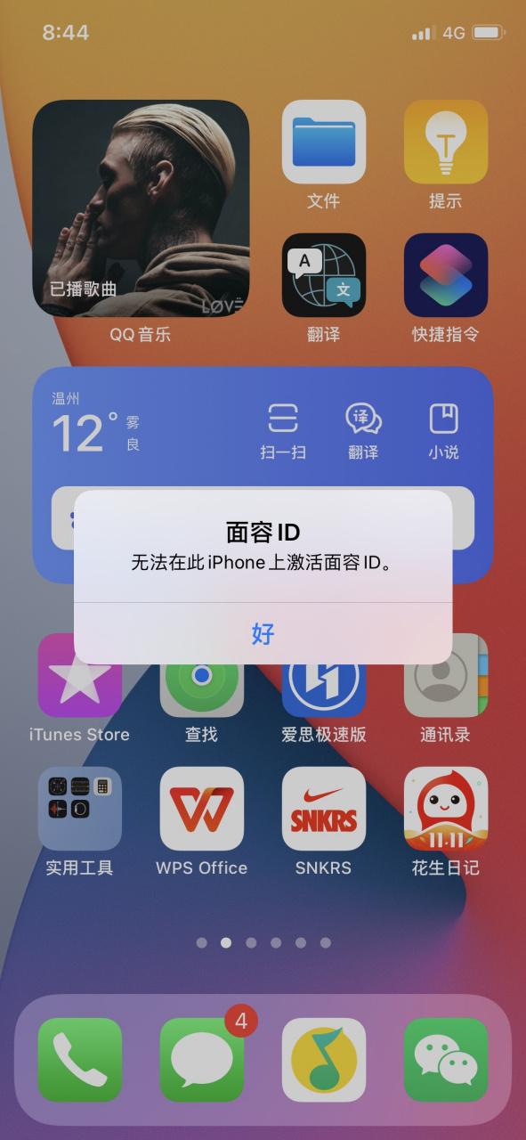 苹果x打不开任何软件图标