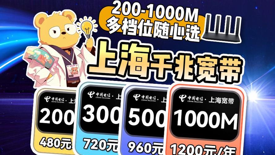 上海宽带哪个便宜图标