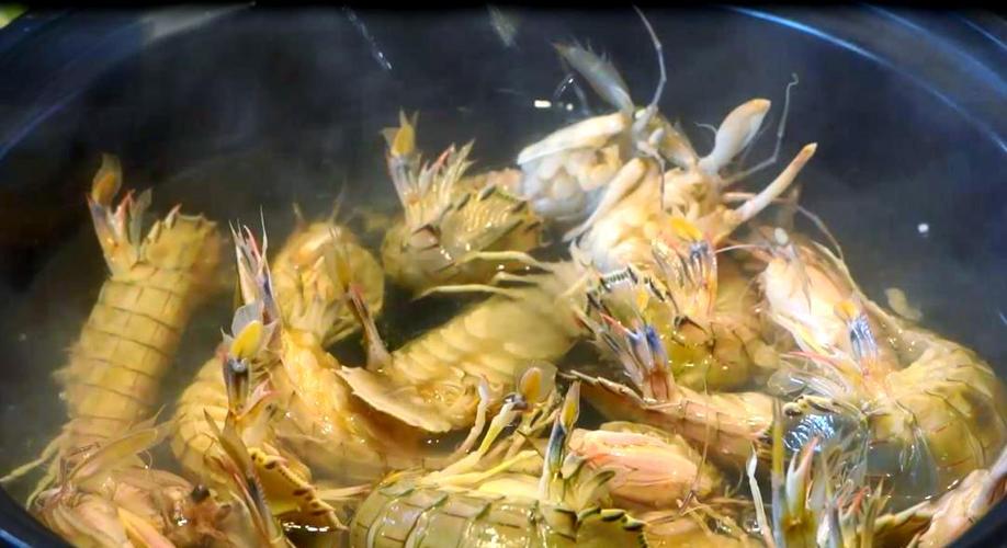 皮皮虾和虾虎截图