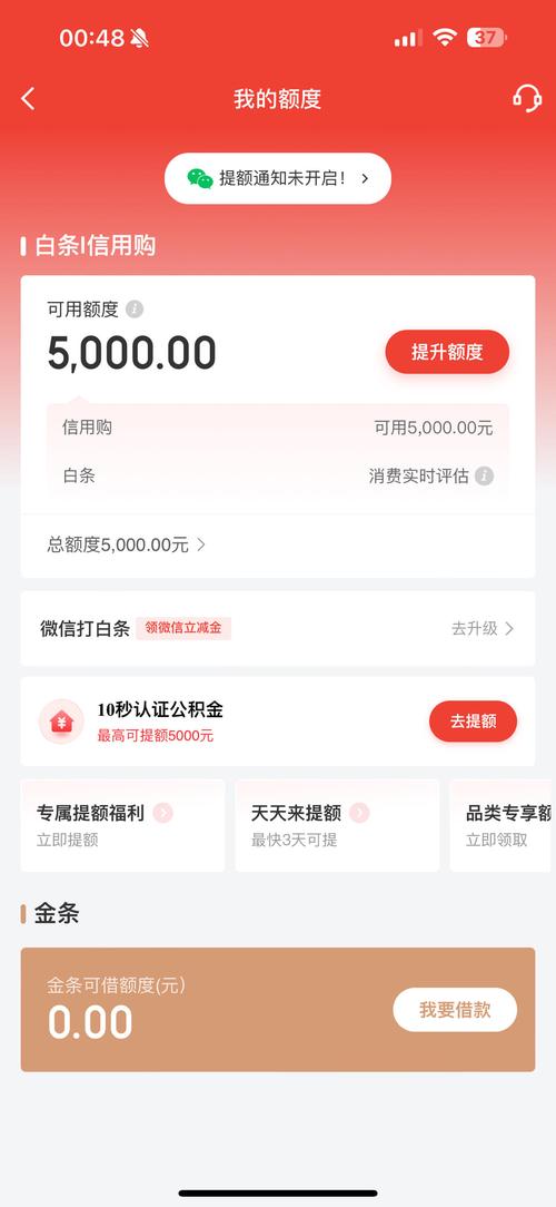 京东白条支付受限怎么解决图标