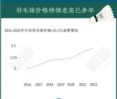 羽毛球线性价比
