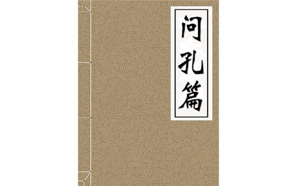 ipadair后面的小孔是什么图标