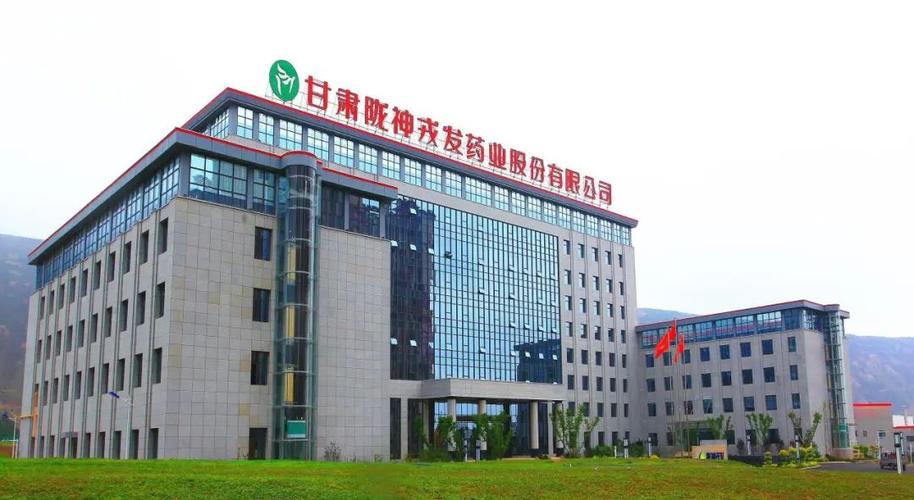 甘肃前十名医药公司是哪些图标