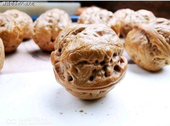 野生小核桃怎么处理图标