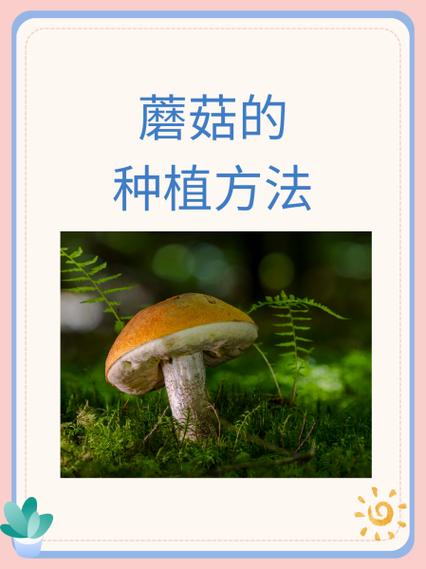自己如何在家种蘑菇图标