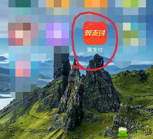 怎么查翼支付余额图标