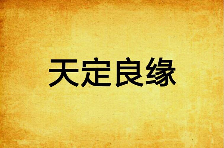 天定良缘