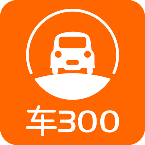 车300二手车app官方下载图标