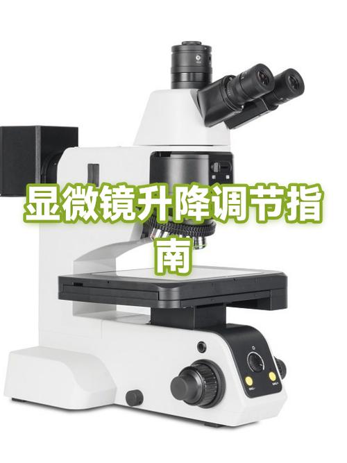 升降摄像头寿命是多少图标