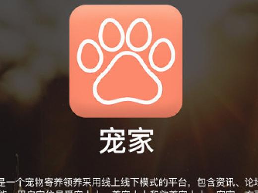 宠年年app下载截图
