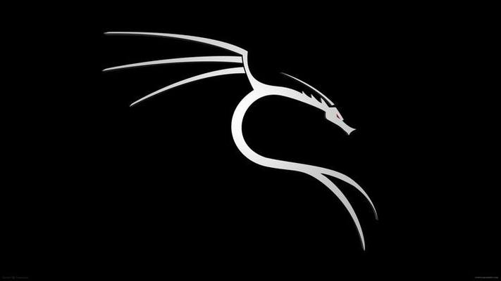 kali linux截图