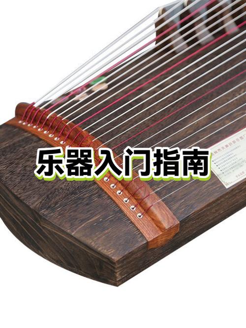 哪些乐器适合初学者图标