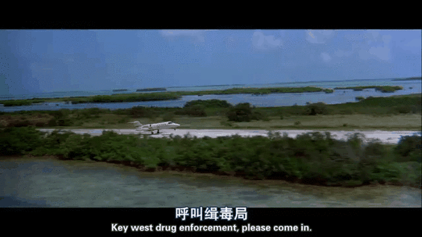 《血战大毒枭》电影图标
