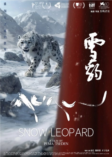 雪豹影视官方下载