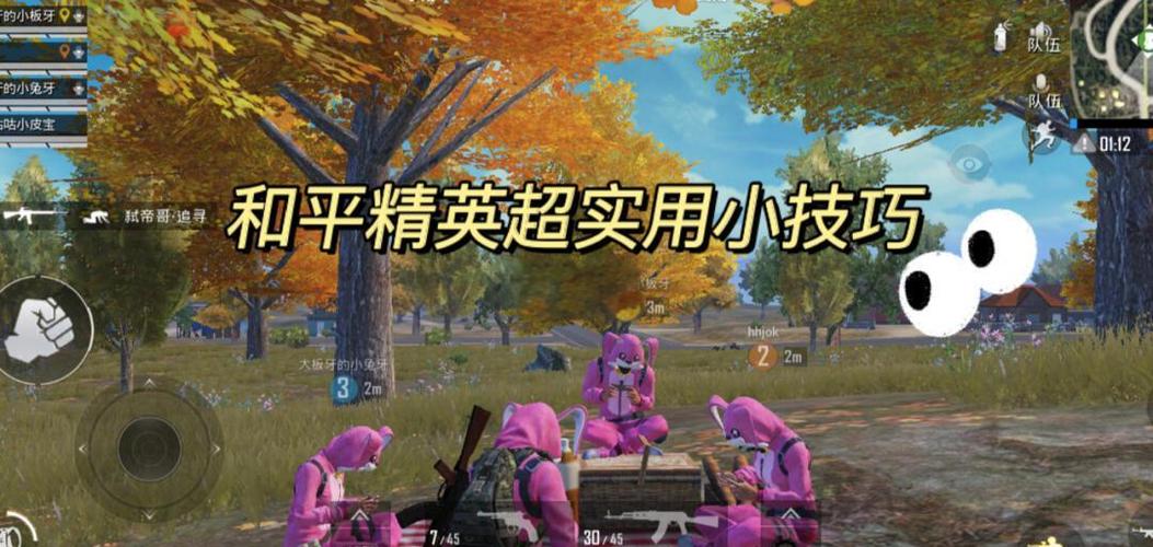 和平精英吃鸡小技巧图标