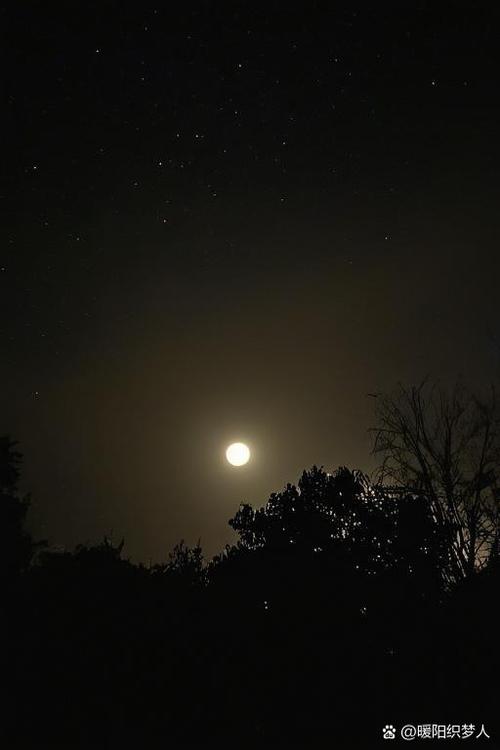 圆月之夜图标