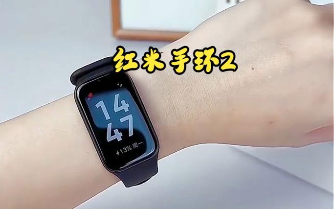 红米Redmi手环2图标