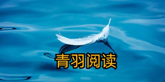 青羽阅读最新版本截图
