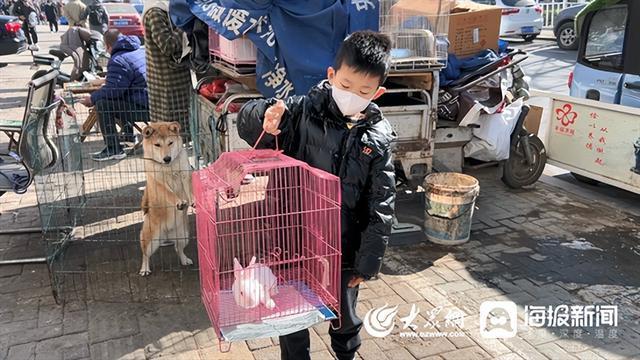 小鸟批发市场 10元图标