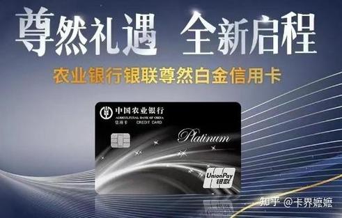 农业银行信用卡5倍积分包在哪买