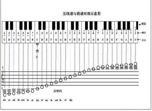 电子琴白键36怎么标图标