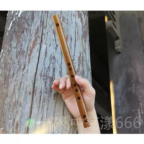 小笛笛子图标