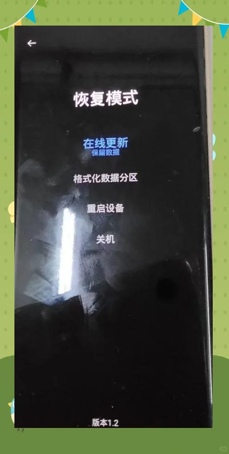 OPPO手机恢复模式更新不了截图