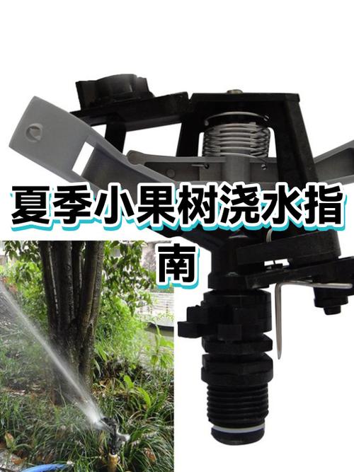 果树浇水的最佳方法截图