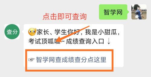 智学网入口查看成绩图标